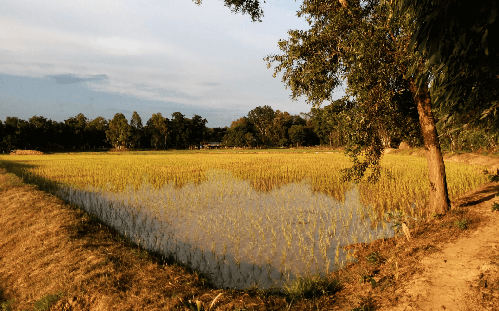 Sustainable Agriculture in Action: 8 Farms Shaping the Future ...