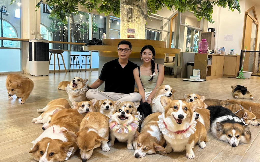 Pet, Play, and Sip: Top 8 Animal Cafes in Bangkok for Animal Lovers ...